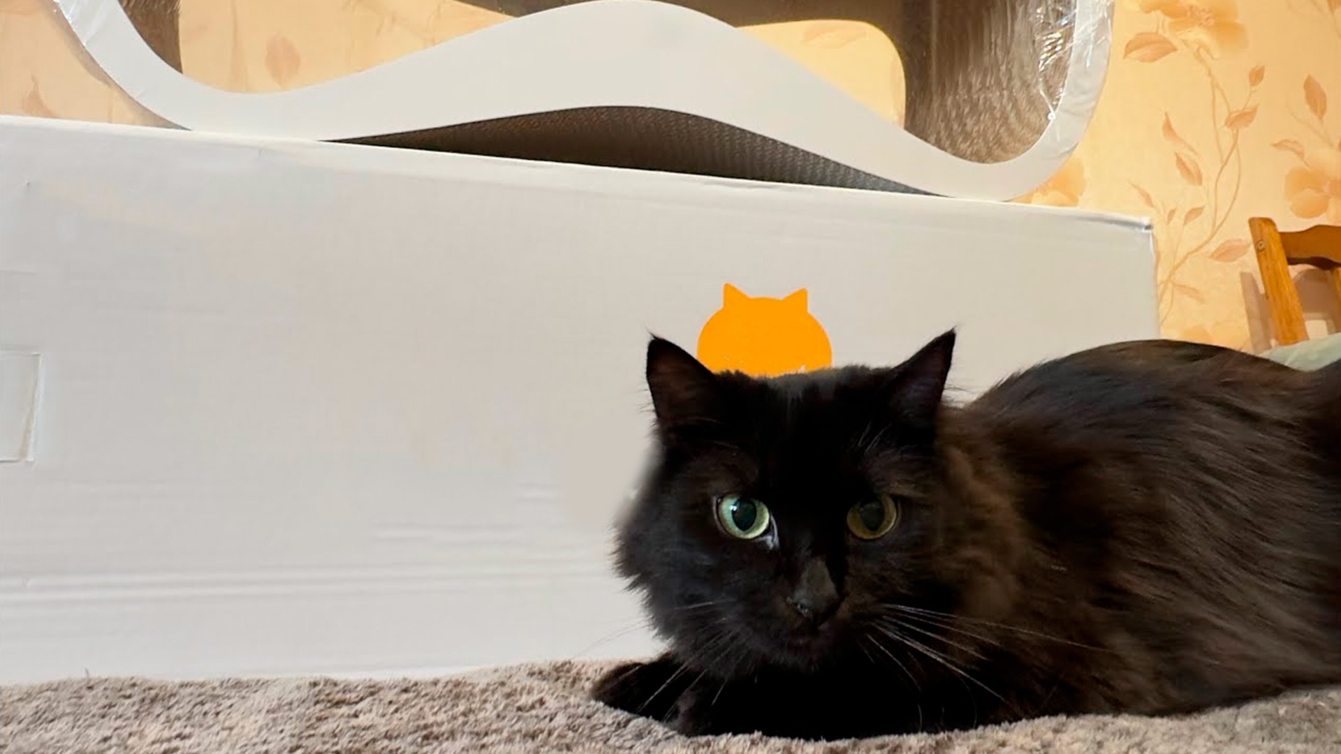 alekseychak (2024) дивитися онлайн на Prosto TV